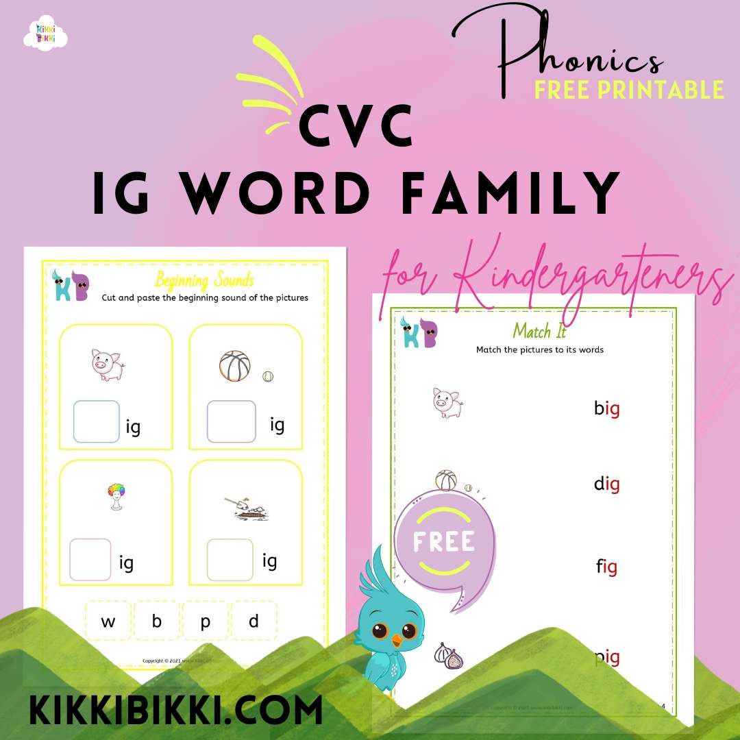 CVC -ig Word Family - Free Phonics Printable