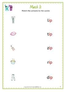 CVC -ip Word Family - Free Phonics Printable