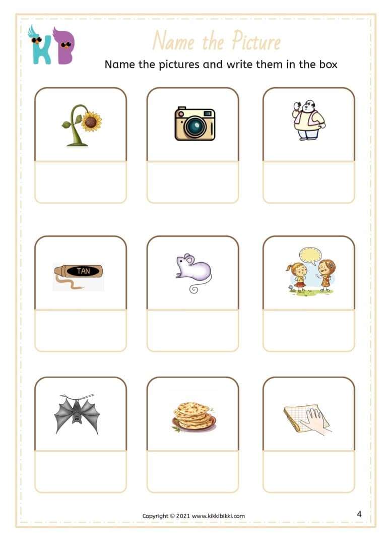 CVC A Sound Family: Name the Pictures Worksheets