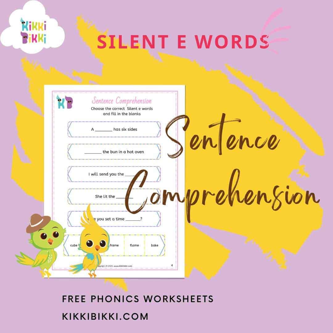 Phonics Adventure: Silent E Sentence Comprehension Worksheet