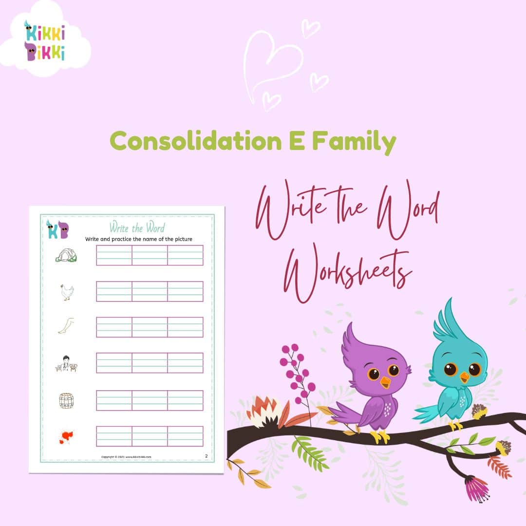 Consolidation of E Sound Family - Write the Word Worksheets