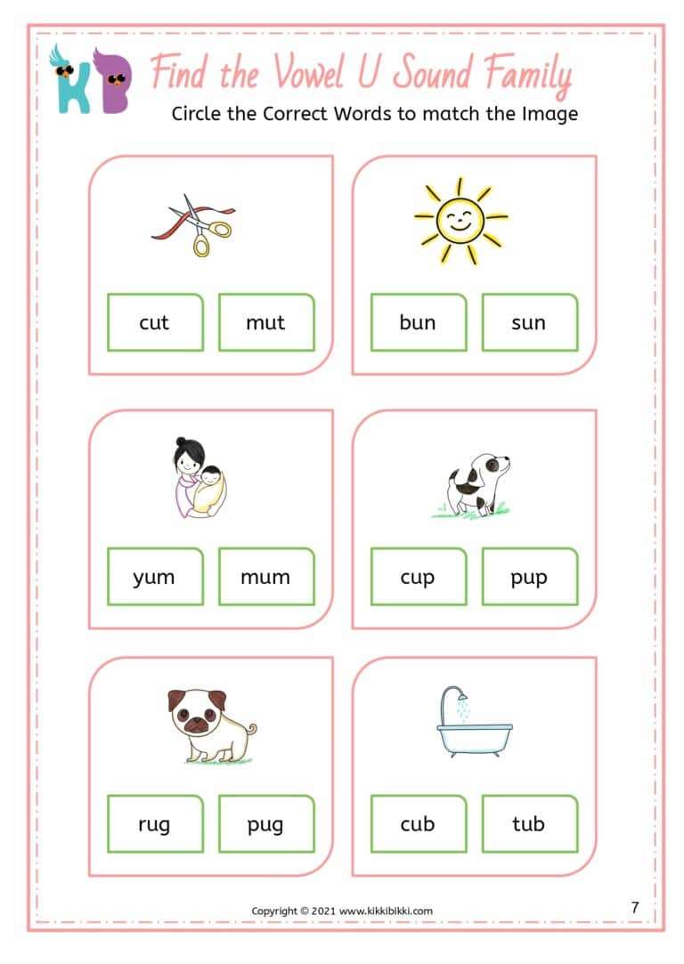 Consolidation of CVC U Sound Family - Find the Vowel Worksheets