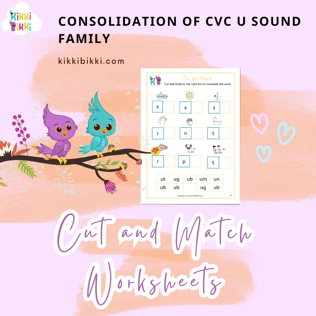 Consolidation of CVC U Sound Family - Cut and Match Worksheets