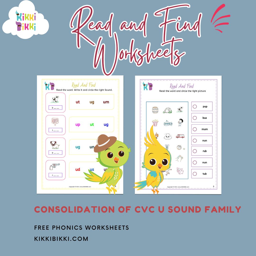 Consolidation of CVC U Sound Family - Read and Find Worksheets