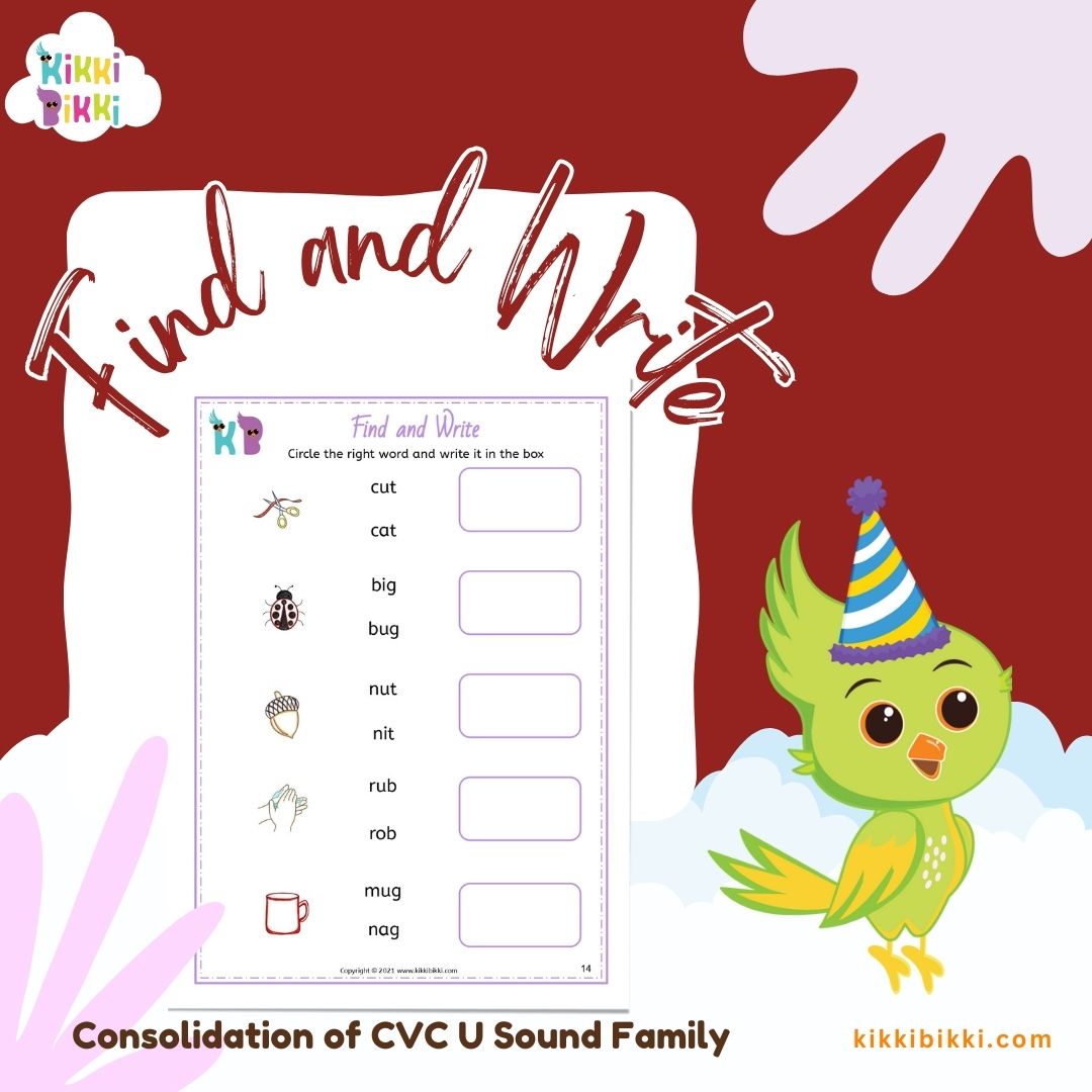 Consolidation of CVC U Sound Family - Find and Write Worksheets