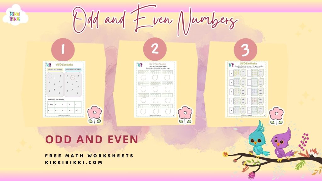 Math Adventure: Understanding Odd and Even Numbers