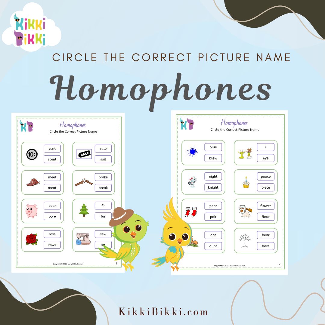 Phonics Adventure: Homophones & Picture Recognition Worksheet