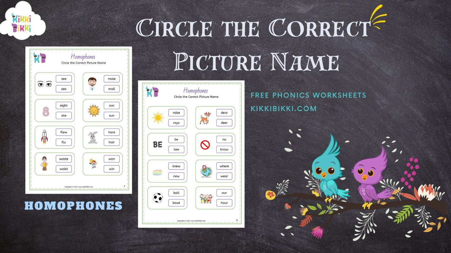 Phonics Adventure: Homophones & Picture Recognition Worksheet